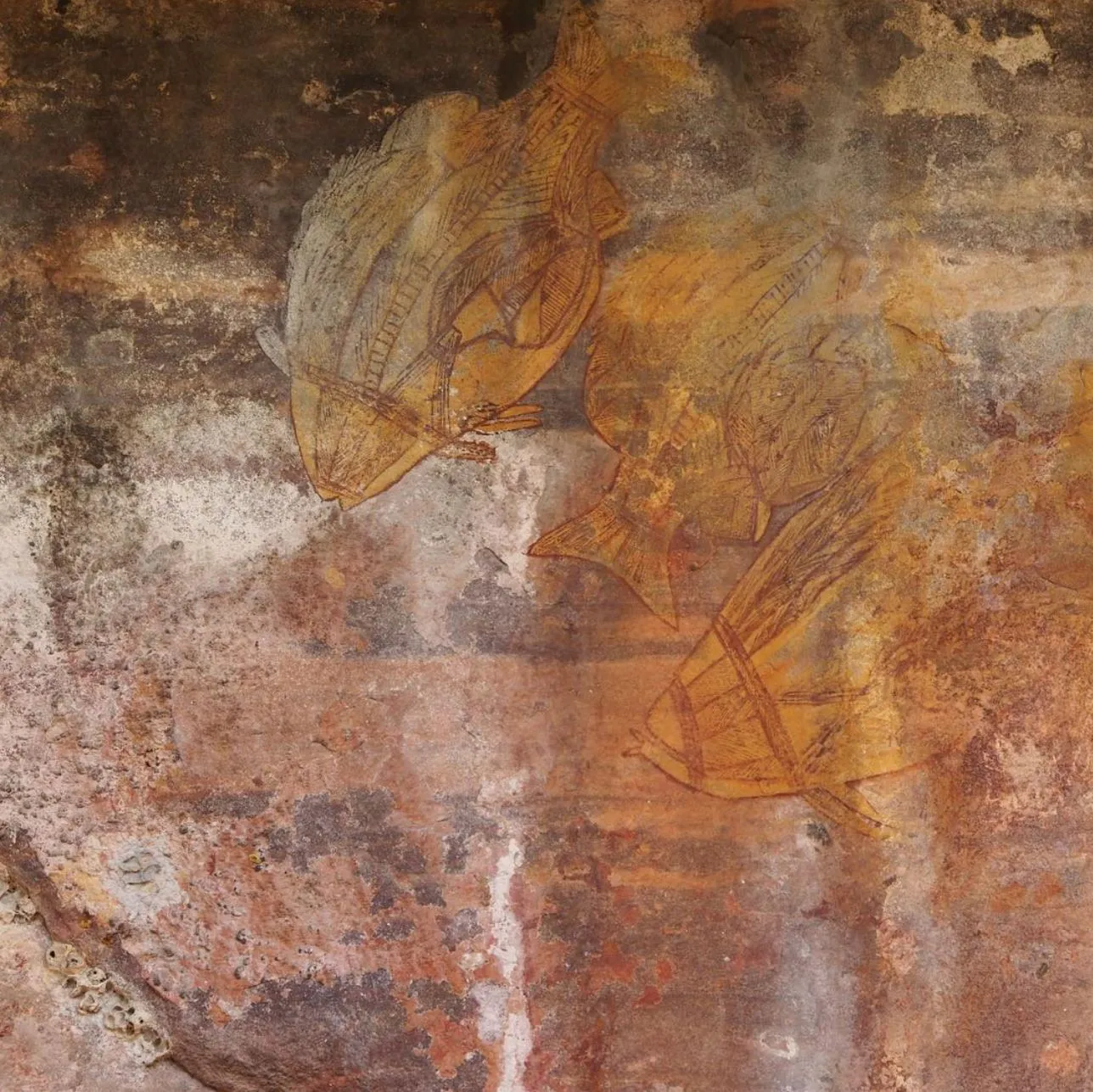 Best Time to Visit Kakadu National Park: Seasonal Guide